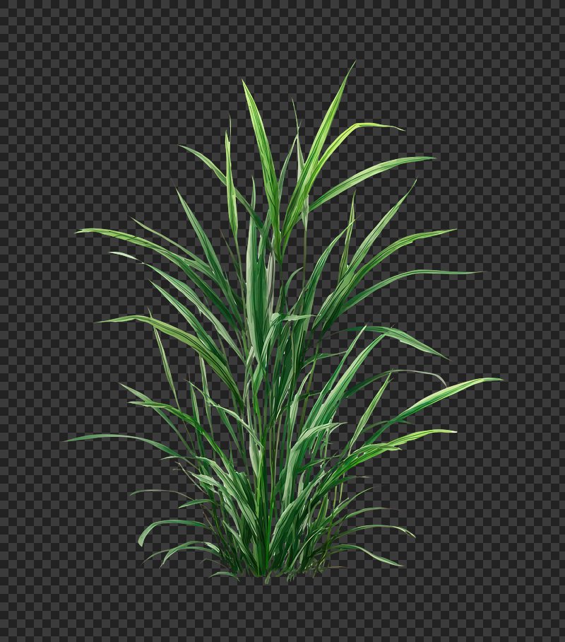 Grass View Isolated Nature Design Images | Free Photos, PNG Stickers ...
