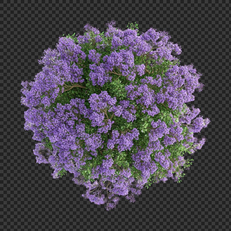 Flower Photo Bush Tree Transparent Images | Free Photos, PNG Stickers ...