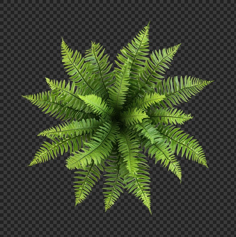 Top+the+bushes Design Images | Free Photos, PNG Stickers, Wallpapers ...