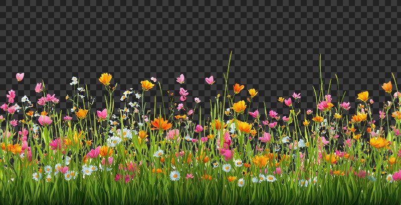 Wildflower Meadow Border Transparent Background Images | Free Photos ...