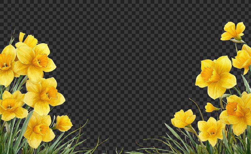 Spring+wallpaper+desktop Flower Images | Free Photos, PNG Stickers ...