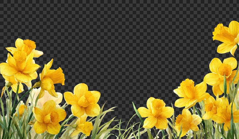 Floral Side Border PNG Design Images | Free Photos, PNG Stickers ...