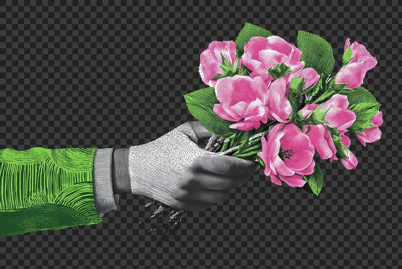 Human In Hand Shadow Images | Free Photos, PNG Stickers, Wallpapers ...