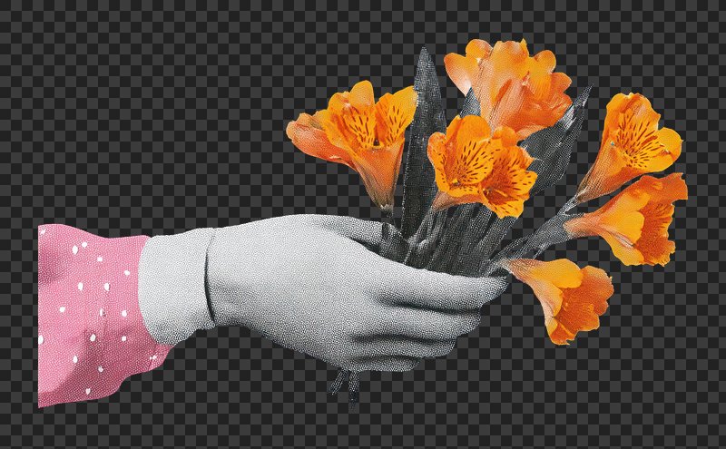 Human Hand Art Design Images | Free Photos, PNG Stickers, Wallpapers ...