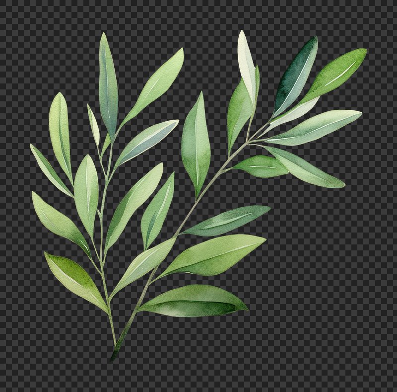 Pictures+for+paintings Watercolor Leaf Plant Images | Free Photos, PNG ...