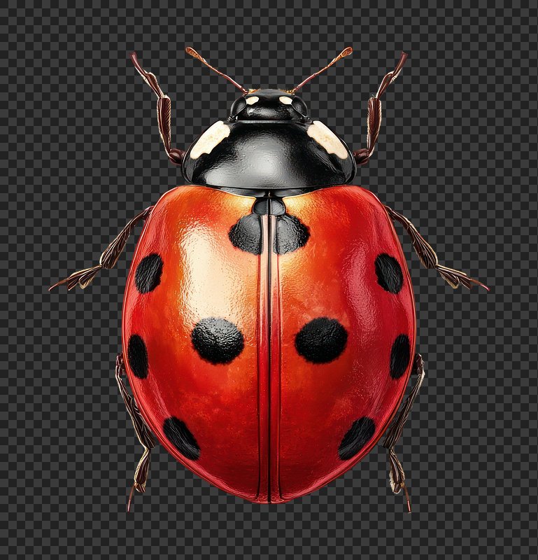 PNG Studying Transparent Study White Images | Free Photos, PNG Stickers ...