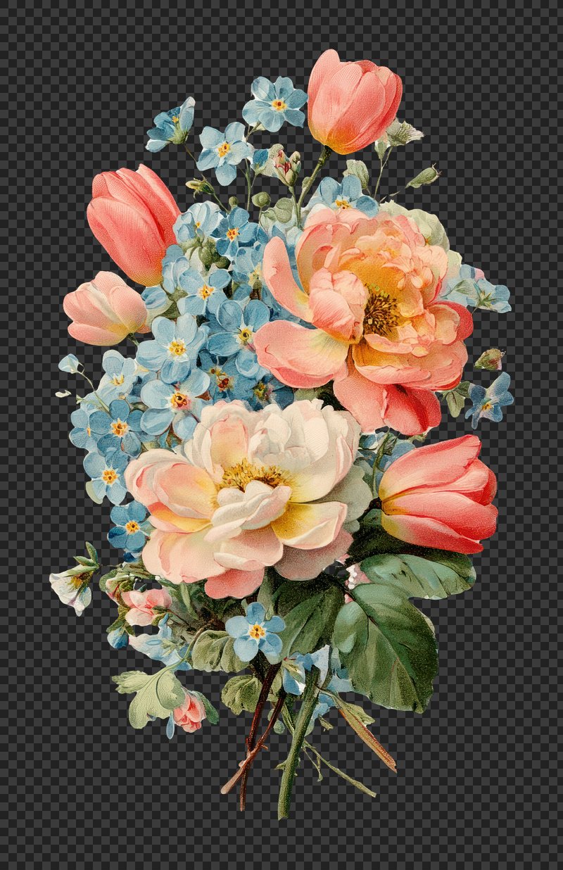 Peach+shadow+backgrounds Art Images | Free Photos, PNG Stickers ...