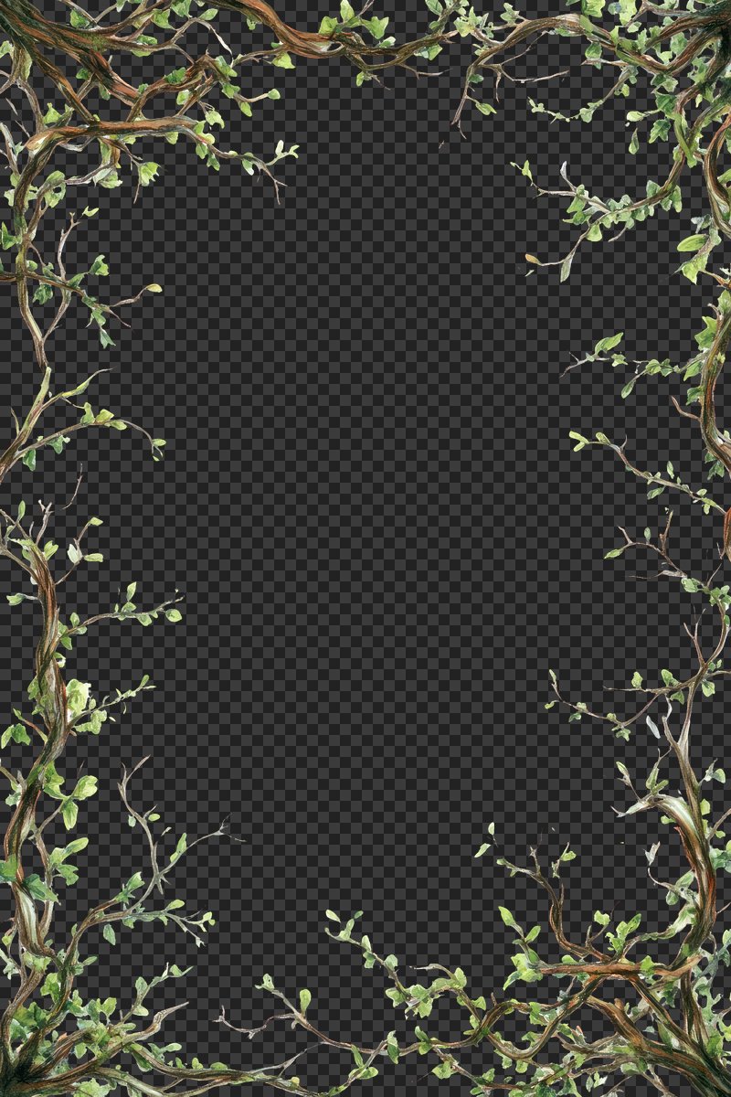 Vine+decorative+tree Green Images | Free Photos, PNG Stickers ...