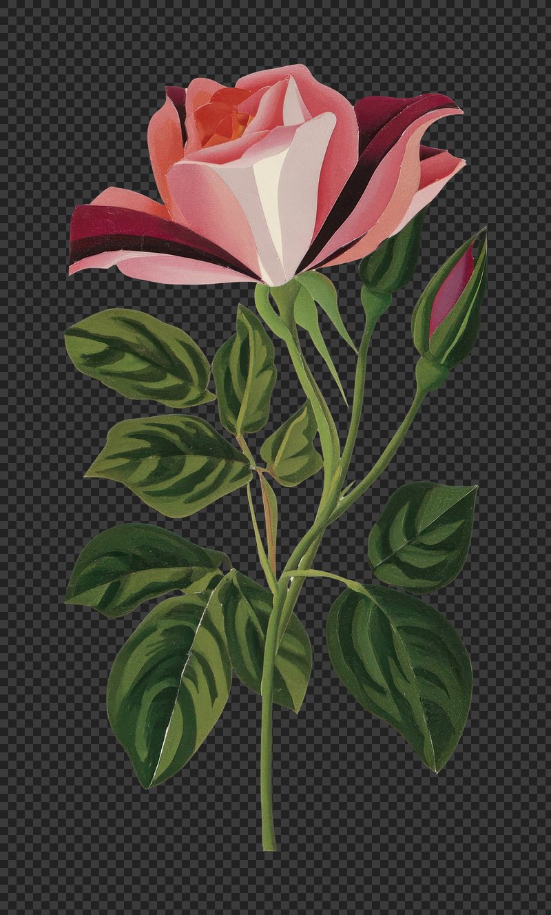 Flower Paper Ripped PNG Art Collage Images | Free Photos, PNG Stickers ...