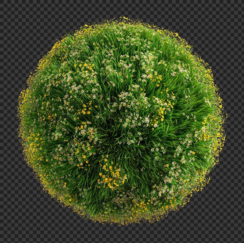 Top Plants Botanical Images | Free Photos, PNG Stickers, Wallpapers ...