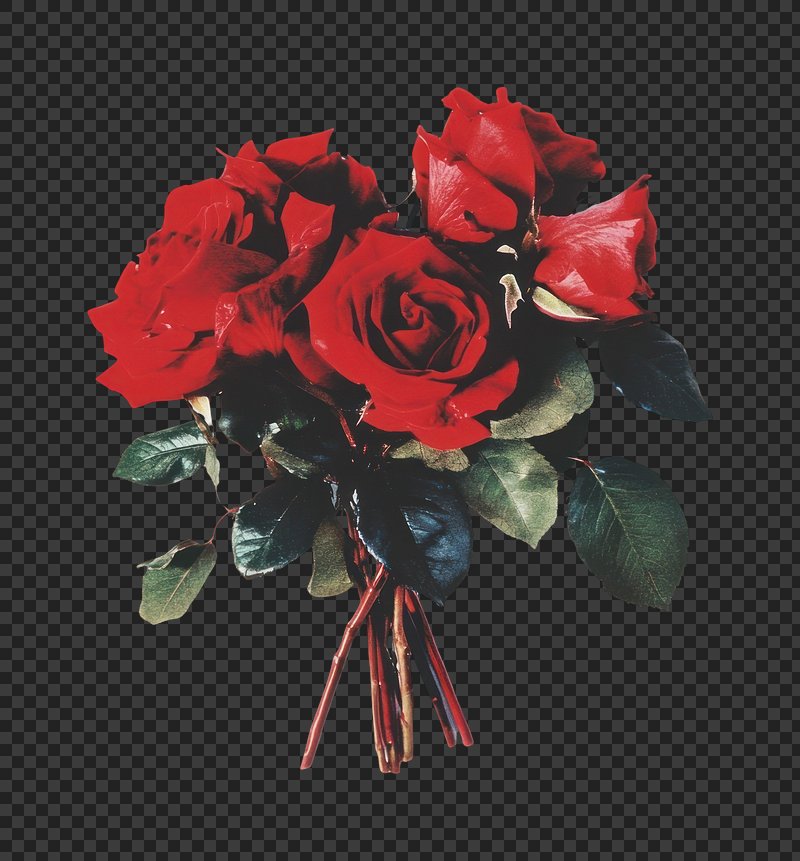 Solid Rose PNG Transparent Flowers Images | Free Photos, PNG Stickers ...