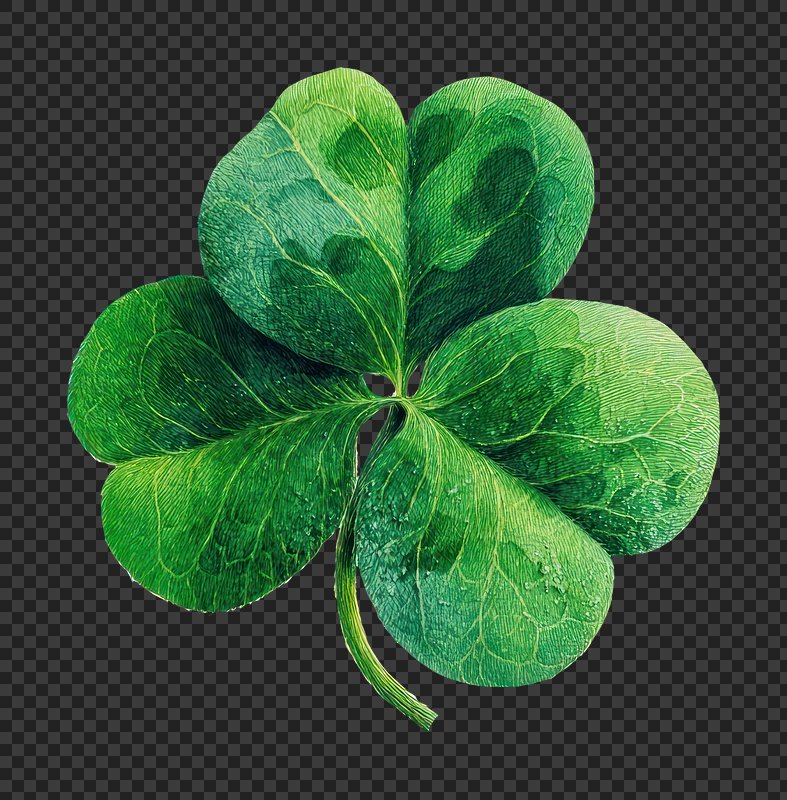 Vein Plant Green Images | Free Photos, PNG Stickers, Wallpapers ...