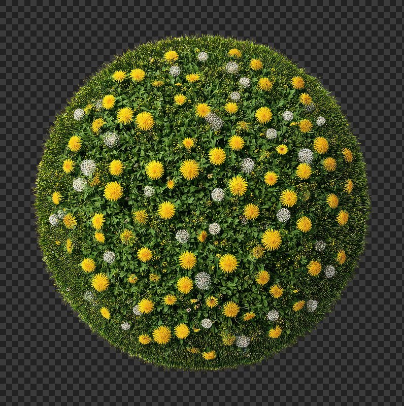 Grass View Isolated Nature Design Images | Free Photos, PNG Stickers ...