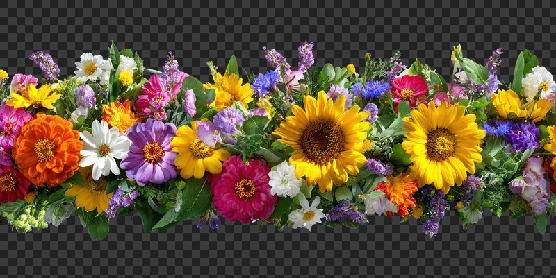 Borders Sunflower Blossom Images | Free Photos, PNG Stickers ...