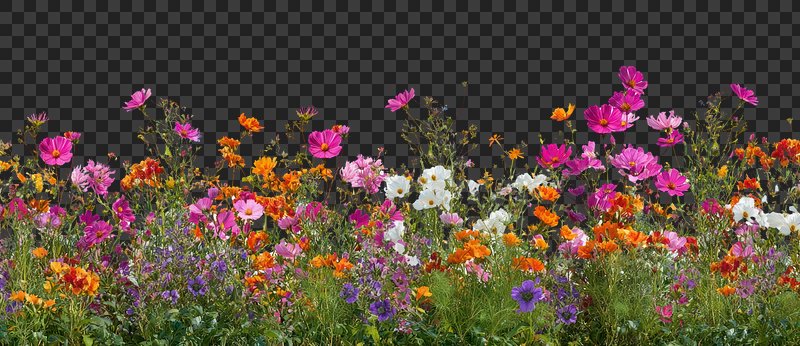 Wild Floral Garden Spring Images | Free Photos, PNG Stickers ...