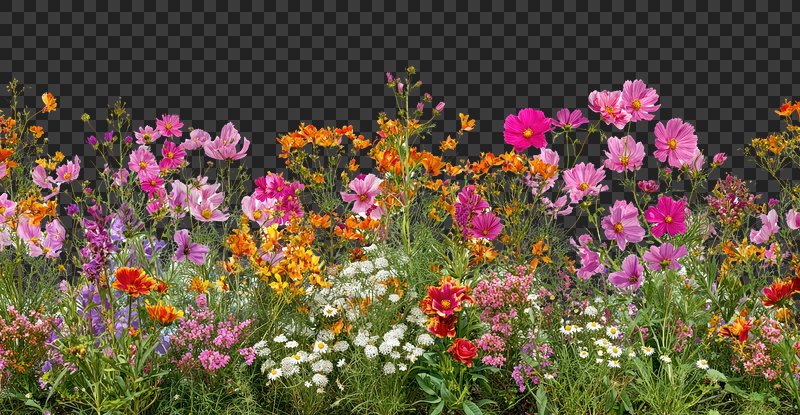 Flower+natural+scenery Border Images | Download Free Design Resources ...