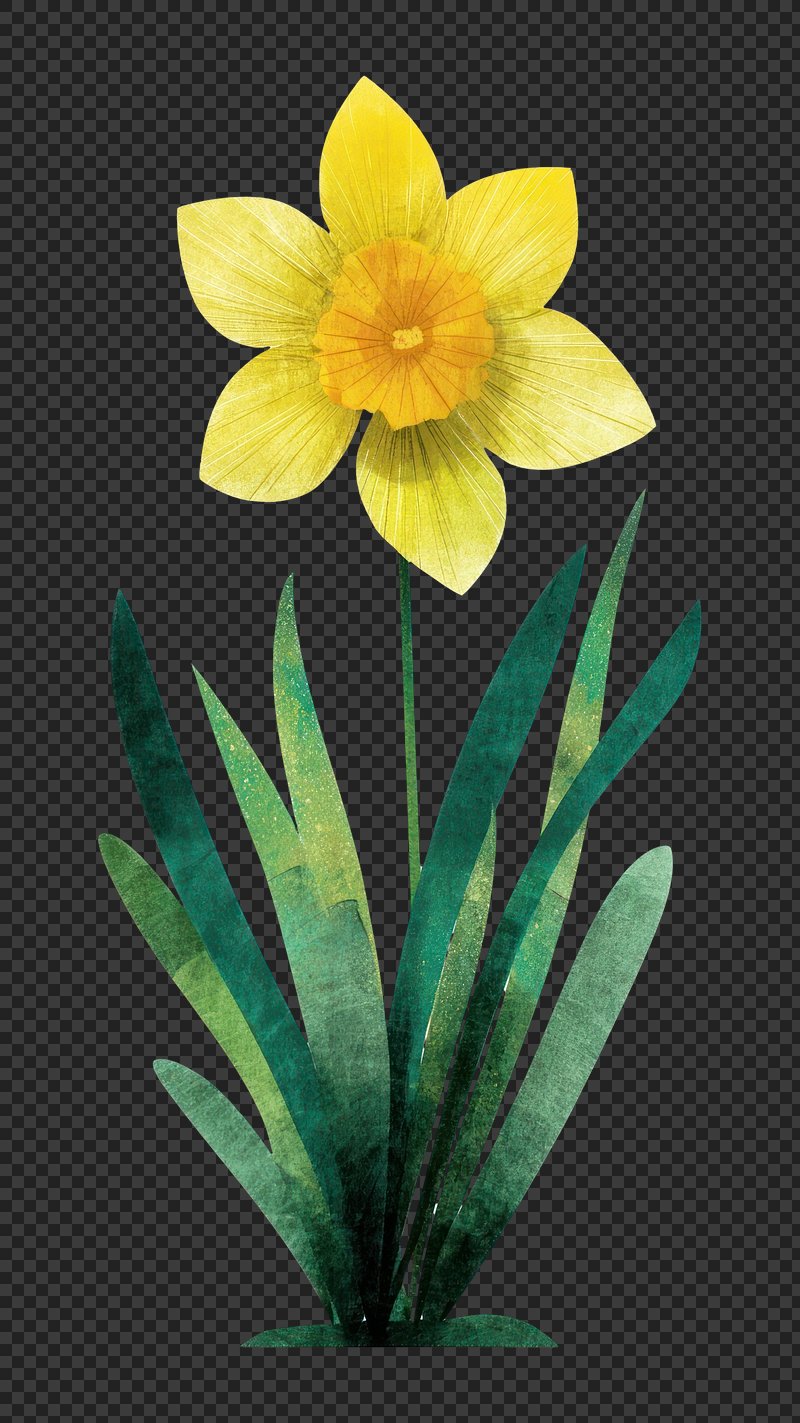 Children Plants Flower Images | Free Photos, PNG Stickers, Wallpapers ...