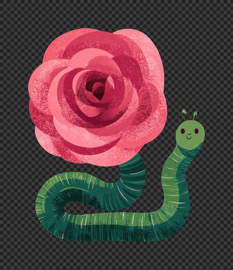 Face Nature Cute Flower Images | Free Photos, PNG Stickers, Wallpapers ...