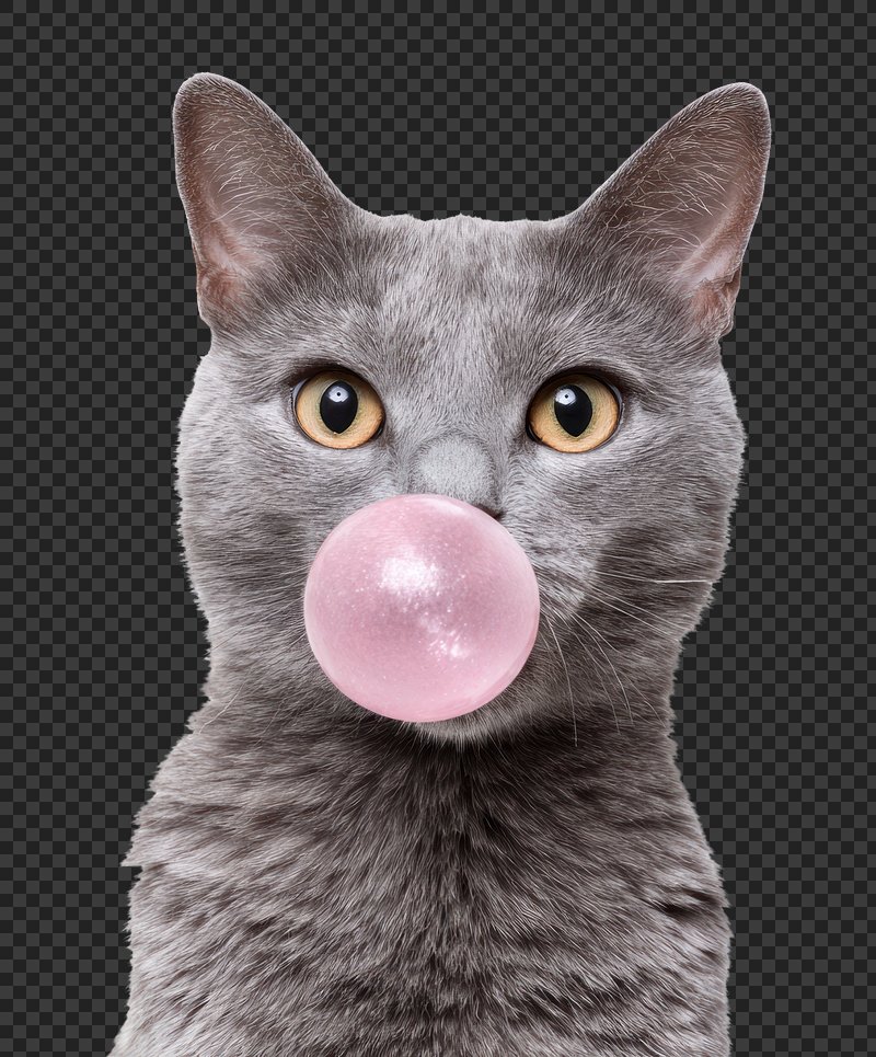 Bubbles Closeup Transparent PNG Images | Free Photos, PNG Stickers ...