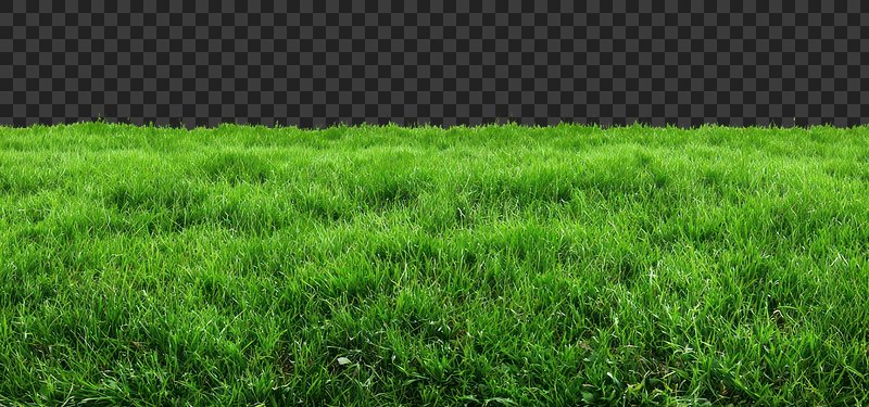 Path With Grass Shadow Images | Free Photos, PNG Stickers, Wallpapers ...