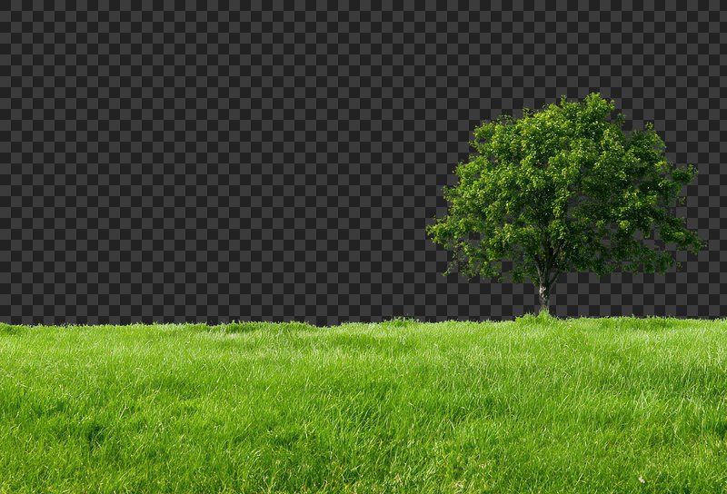 Path With Grass Shadow Images | Free Photos, PNG Stickers, Wallpapers ...