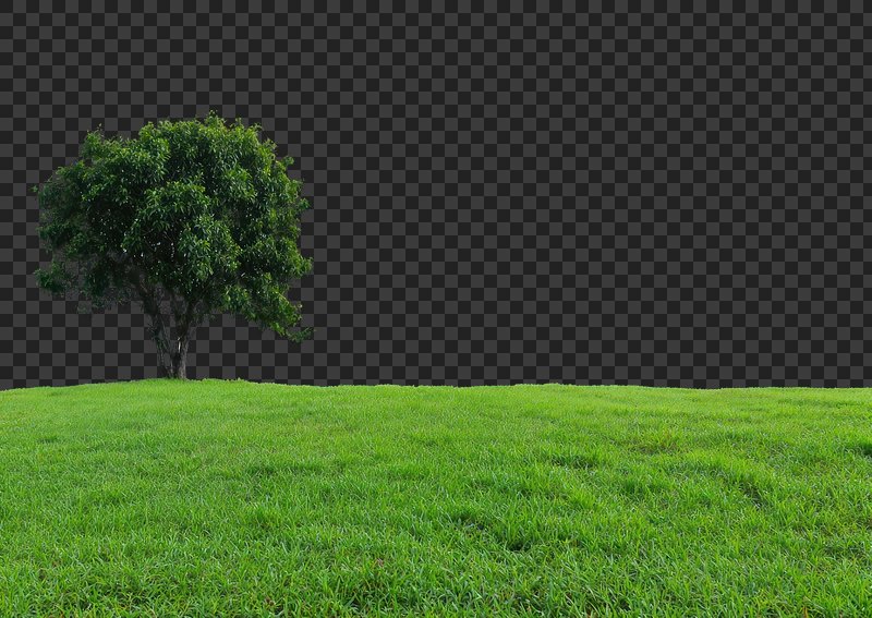 Hill With Trees Shadow Images | Free Photos, PNG Stickers, Wallpapers ...