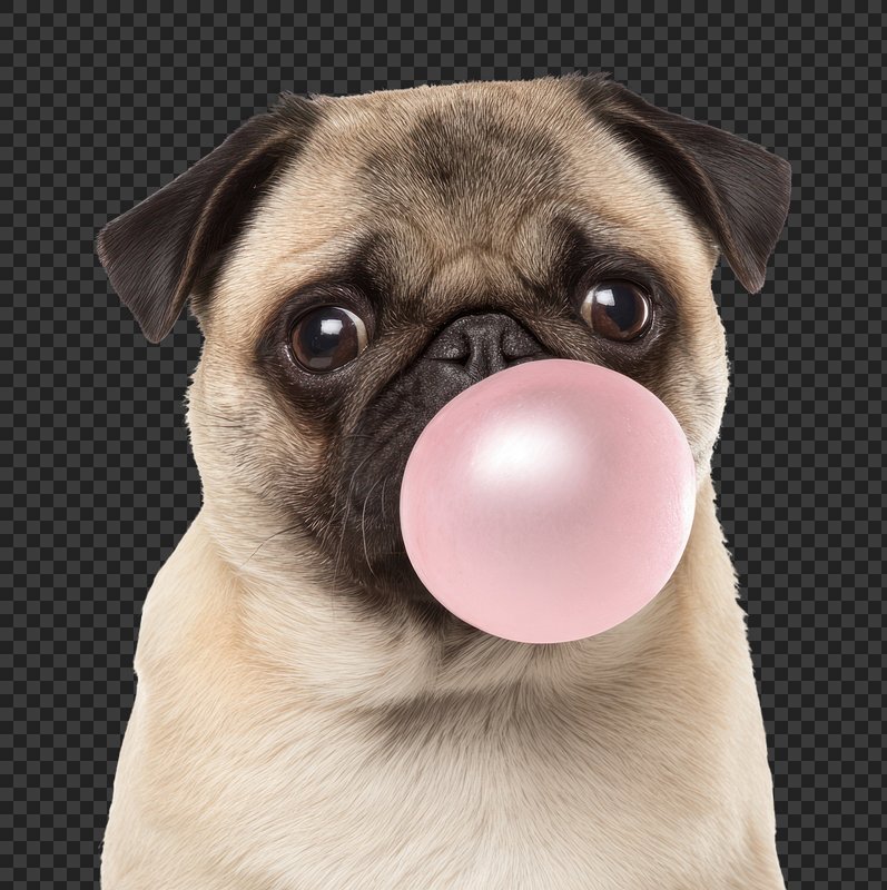 Real+photo Shadow Images | Free Photos, PNG Stickers, Wallpapers ...