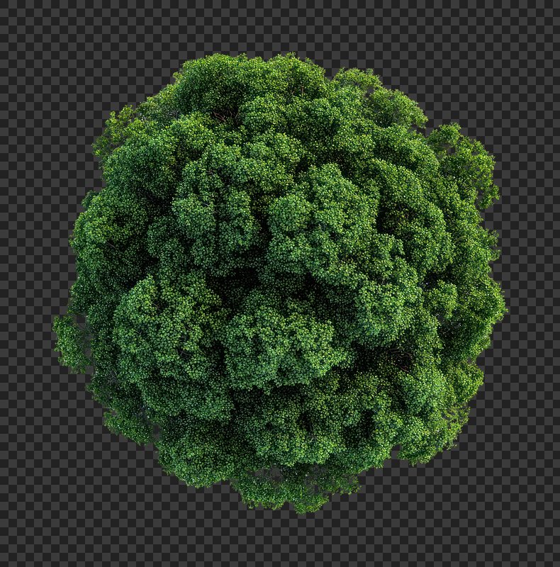 Environmental Design PNG Nature Images | Free Photos, PNG Stickers ...