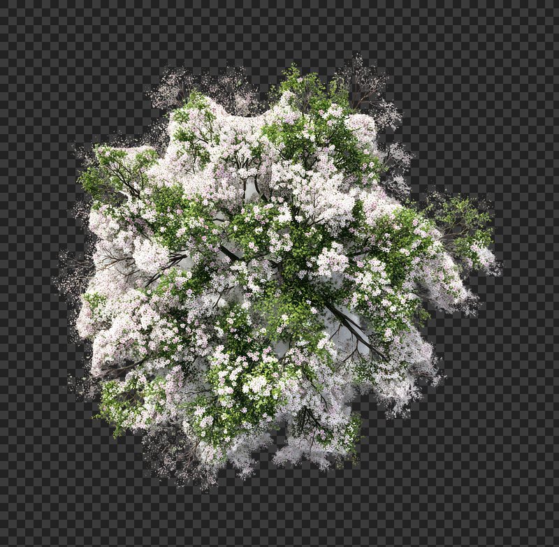 Tree Leaves Pink Shadow Images | Free Photos, PNG Stickers, Wallpapers ...