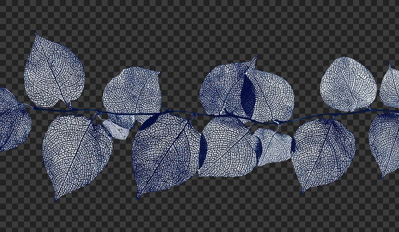 Line+and+space+pattern Border Transparent Images | Free Photos, PNG ...