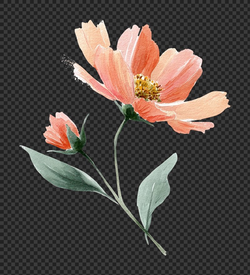 Watercolour+florals Leaf Images | Free Photos, PNG Stickers, Wallpapers ...