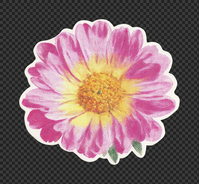 Outline Flowers Nature Images | Free Photos, PNG Stickers, Wallpapers ...