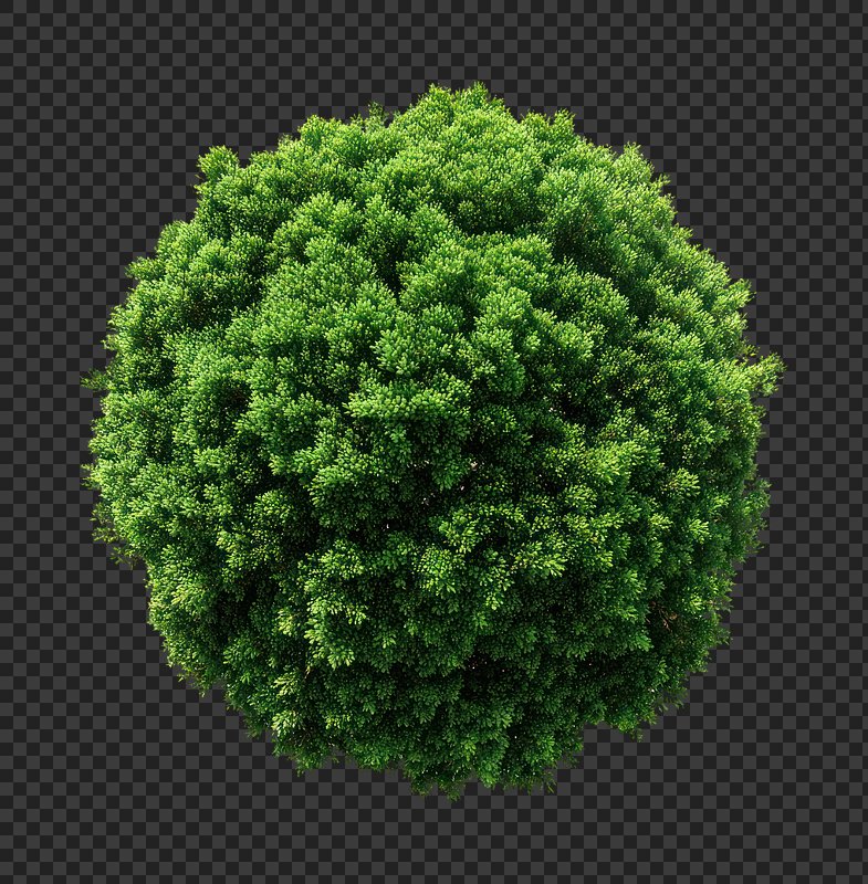 Top+the+bushes PNG Images | Free Photos, PNG Stickers, Wallpapers ...