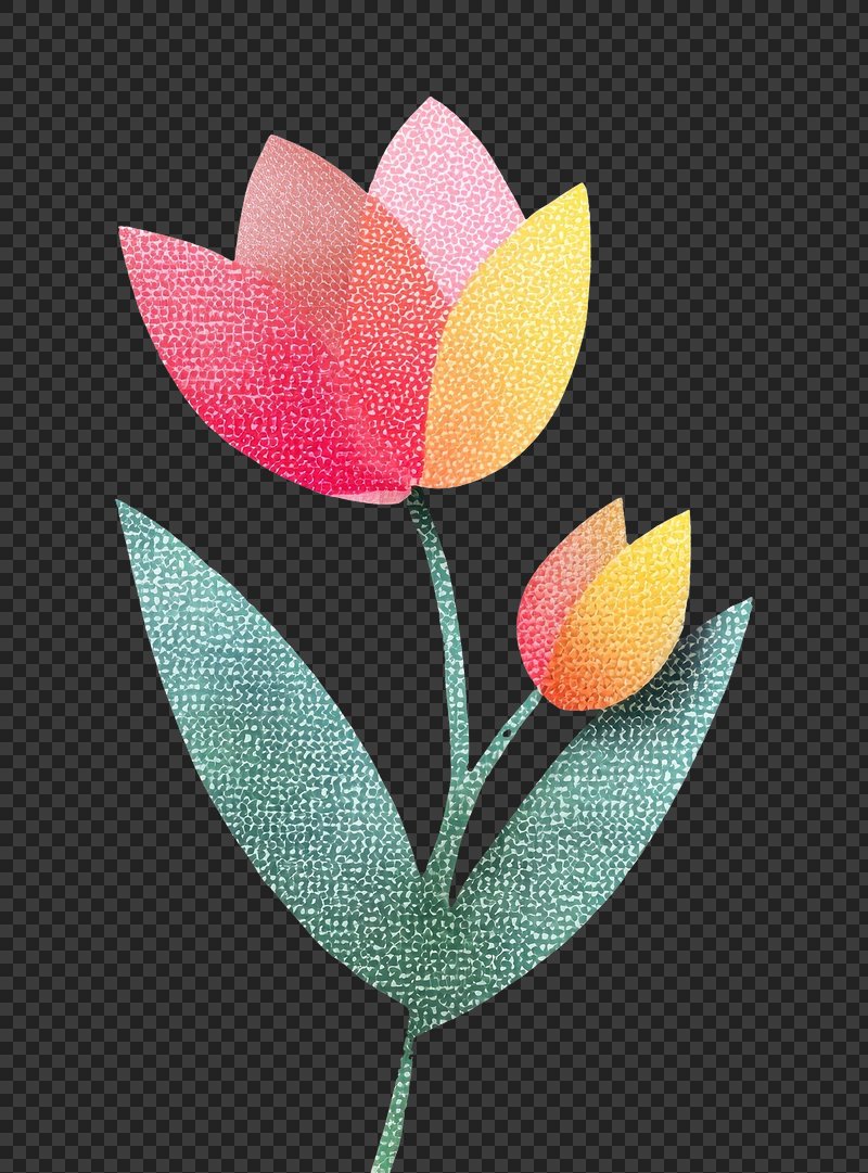 Flower Simple Plant Shadow Images | Free Photos, PNG Stickers ...