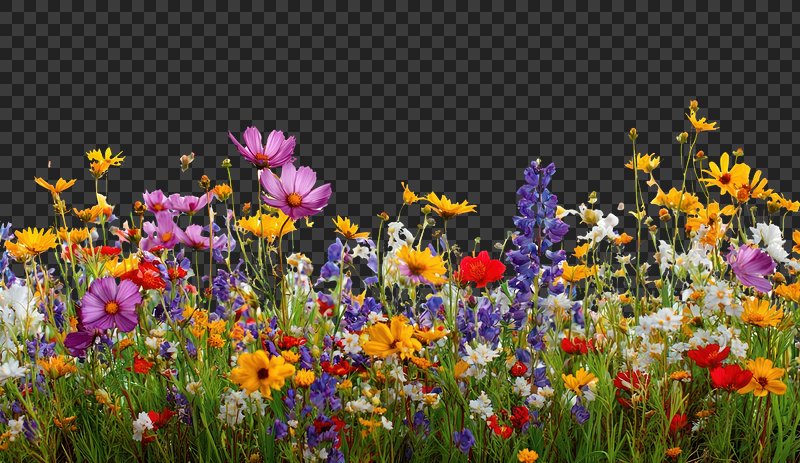 Scenery Hill Border Images | Free Photos, PNG Stickers, Wallpapers ...