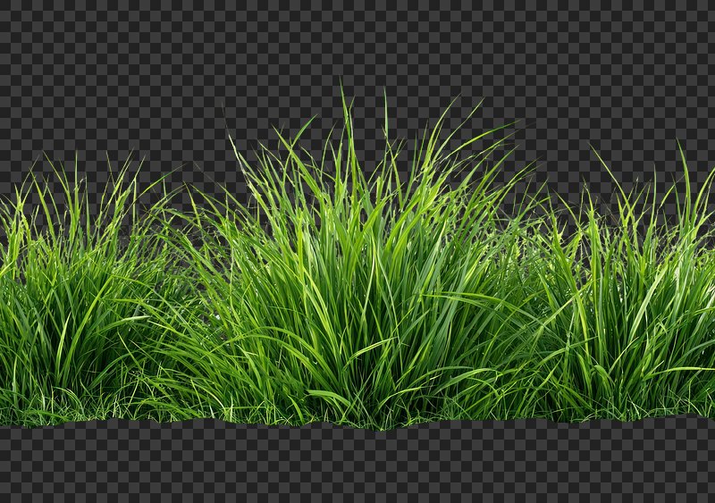 Bladed Green Images | Free Photos, PNG Stickers, Wallpapers ...