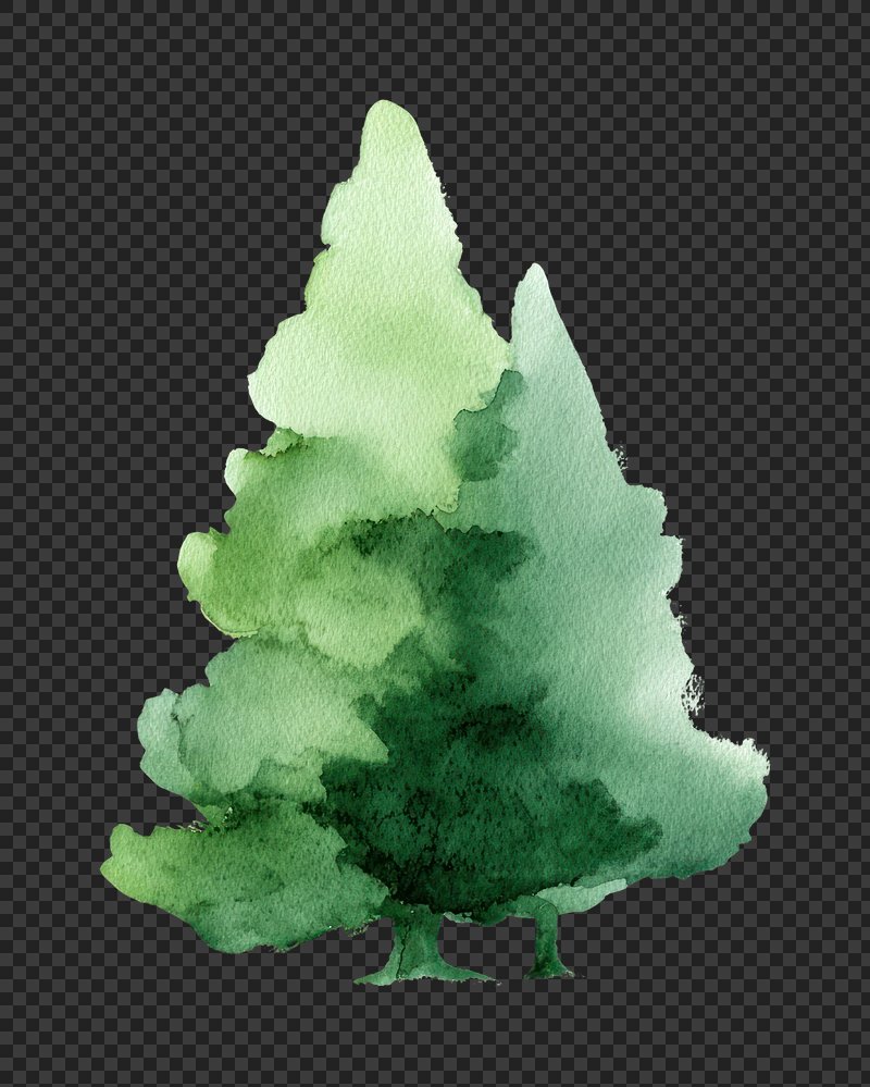 Pine Tree Watercolor Nature Images | Free Photos, PNG Stickers ...