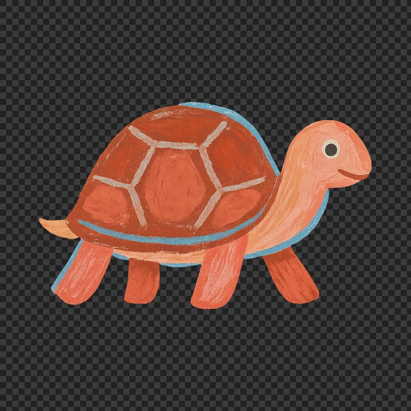 Turtle Transparent Animal Images | Free Photos, PNG Stickers ...