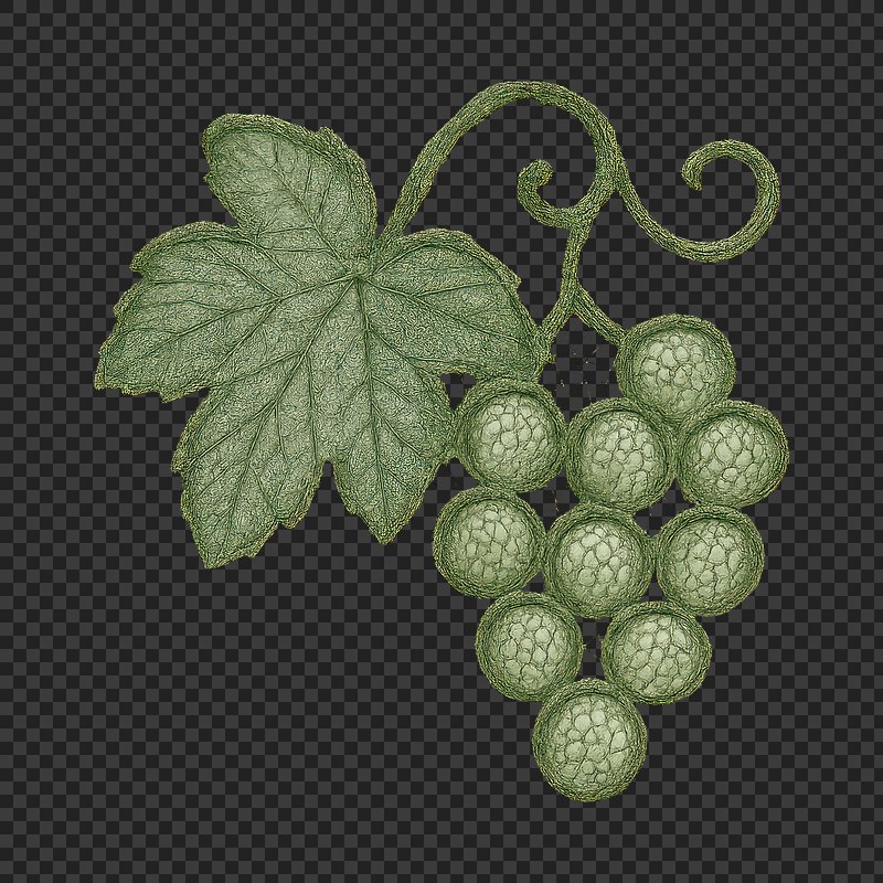 Project+leaf Shadow Design Pattern Images | Free Photos, PNG Stickers ...