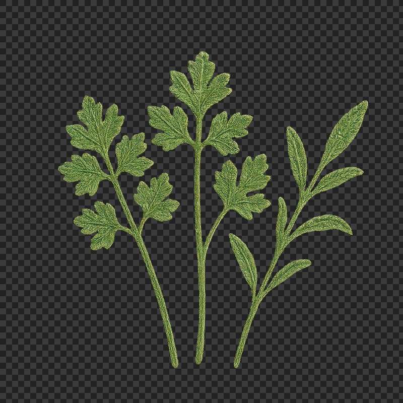 Herbs Pattern Background PNG Images | Free Photos, PNG Stickers ...