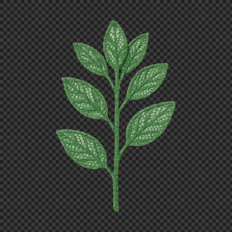 Herbs Pattern Background PNG Images | Free Photos, PNG Stickers ...