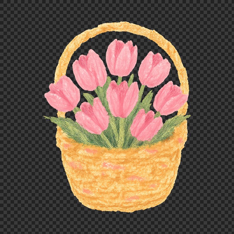 Background Doodle Illustration Transparent Images | Free Photos, PNG ...