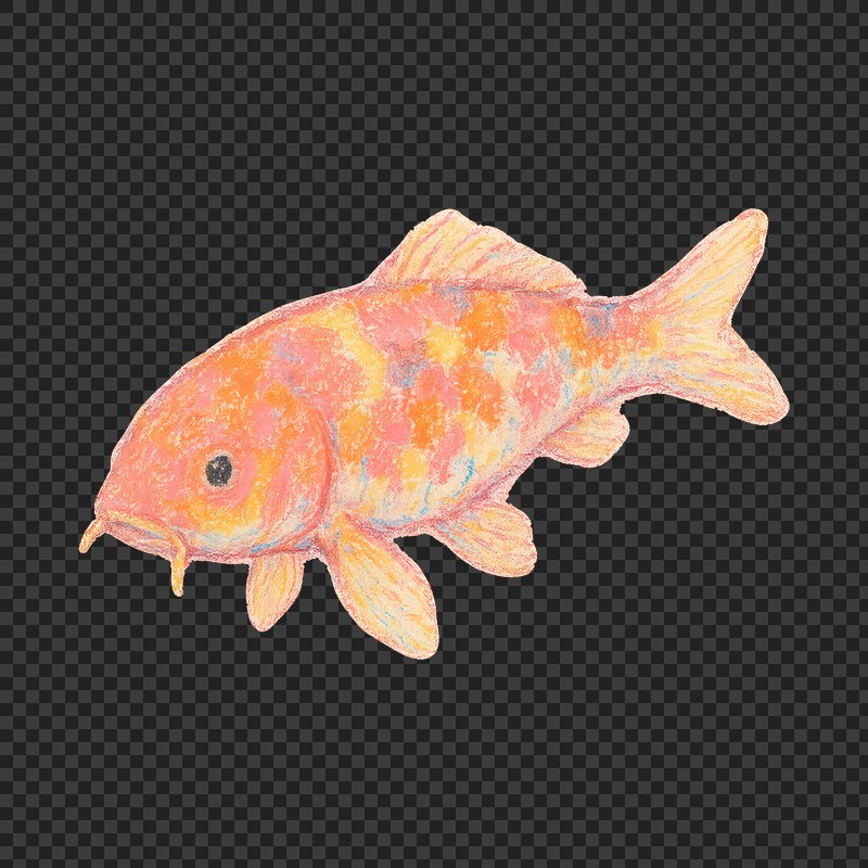 Cute Koi Texture Transparent Cartoon Images | Free Photos, PNG Stickers ...