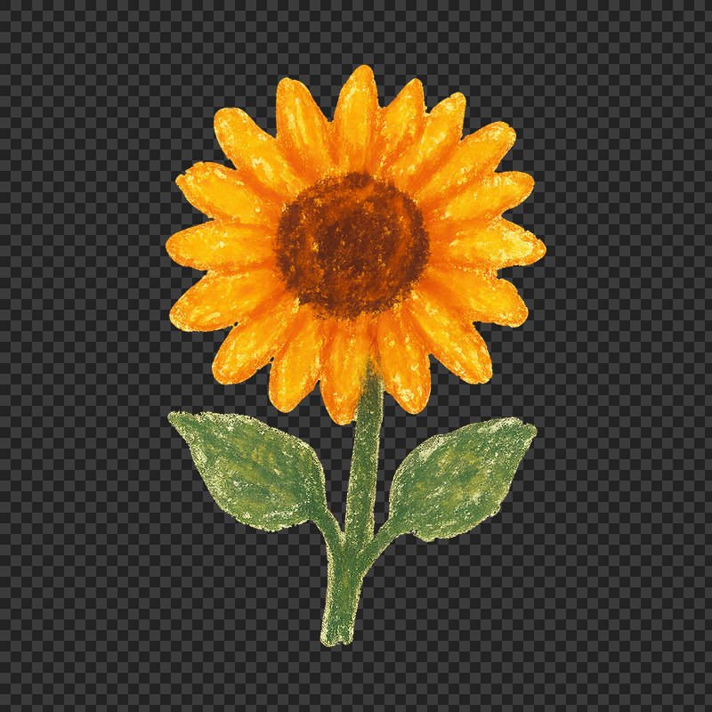 Broken+flowers Design Images | Free Photos, PNG Stickers, Wallpapers ...