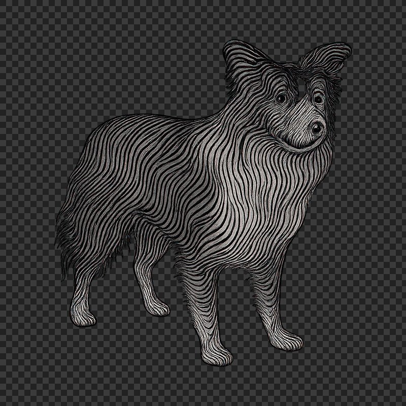 Border+collie+drawing Dog Images | Free Photos, PNG Stickers ...