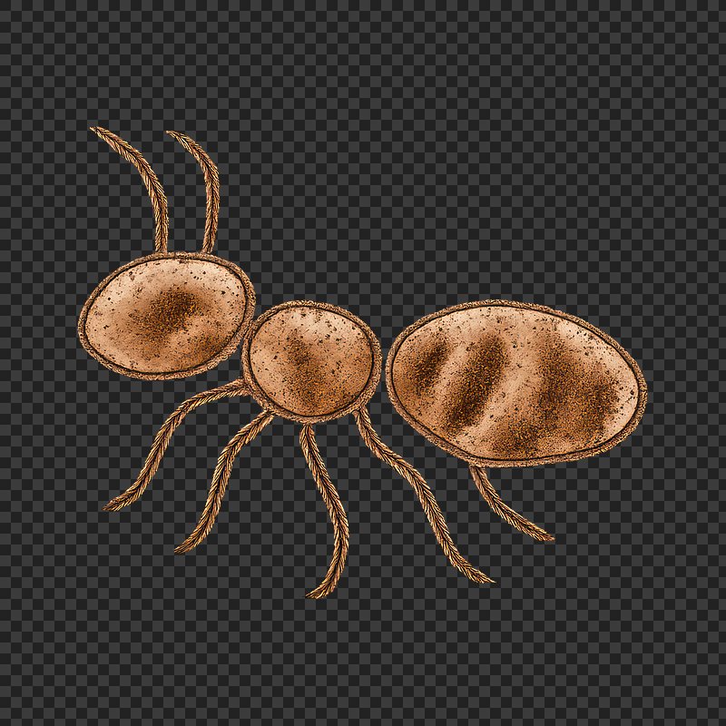 Hand Ants Shadow Images | Free Photos, PNG Stickers, Wallpapers ...