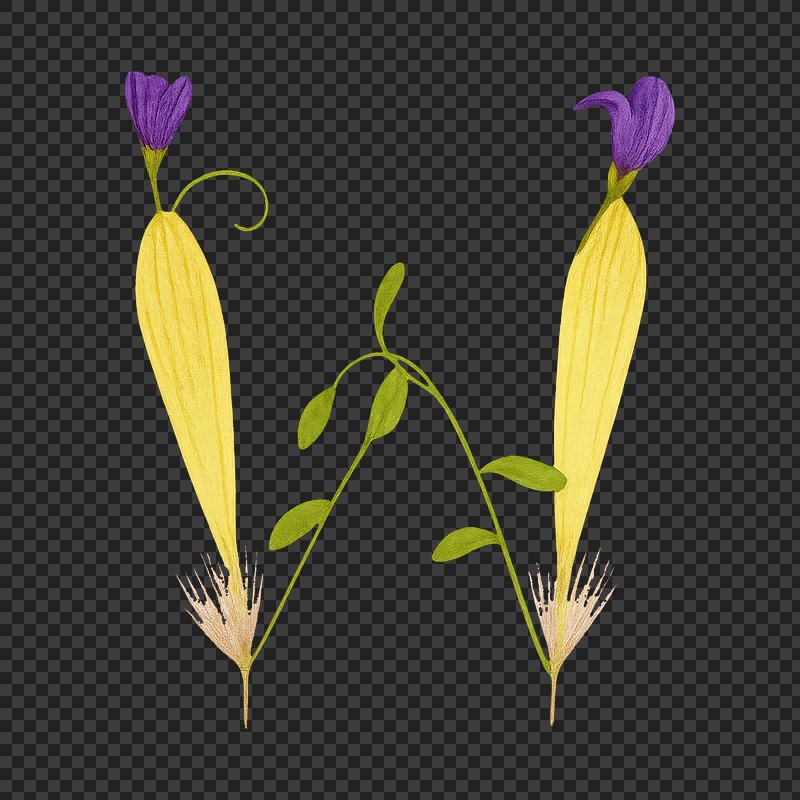 Over+flower. Lighting Saturated Plant Background Images | Free Photos ...