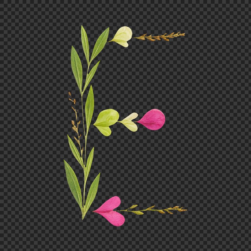 Typography Floral Leaves Images | Free Photos, PNG Stickers, Wallpapers ...