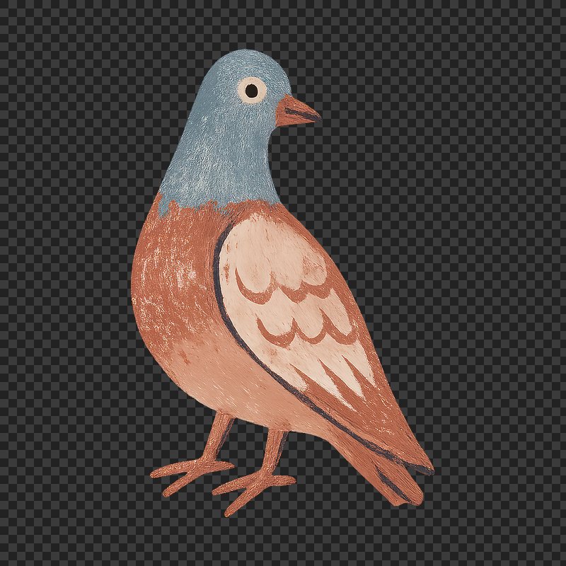 Pigeon Vintage Bird Transparent Images | Free Photos, PNG Stickers ...