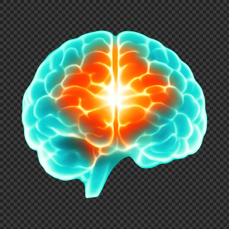 Brain+art PNG Images | Free Photos, PNG Stickers, Wallpapers ...